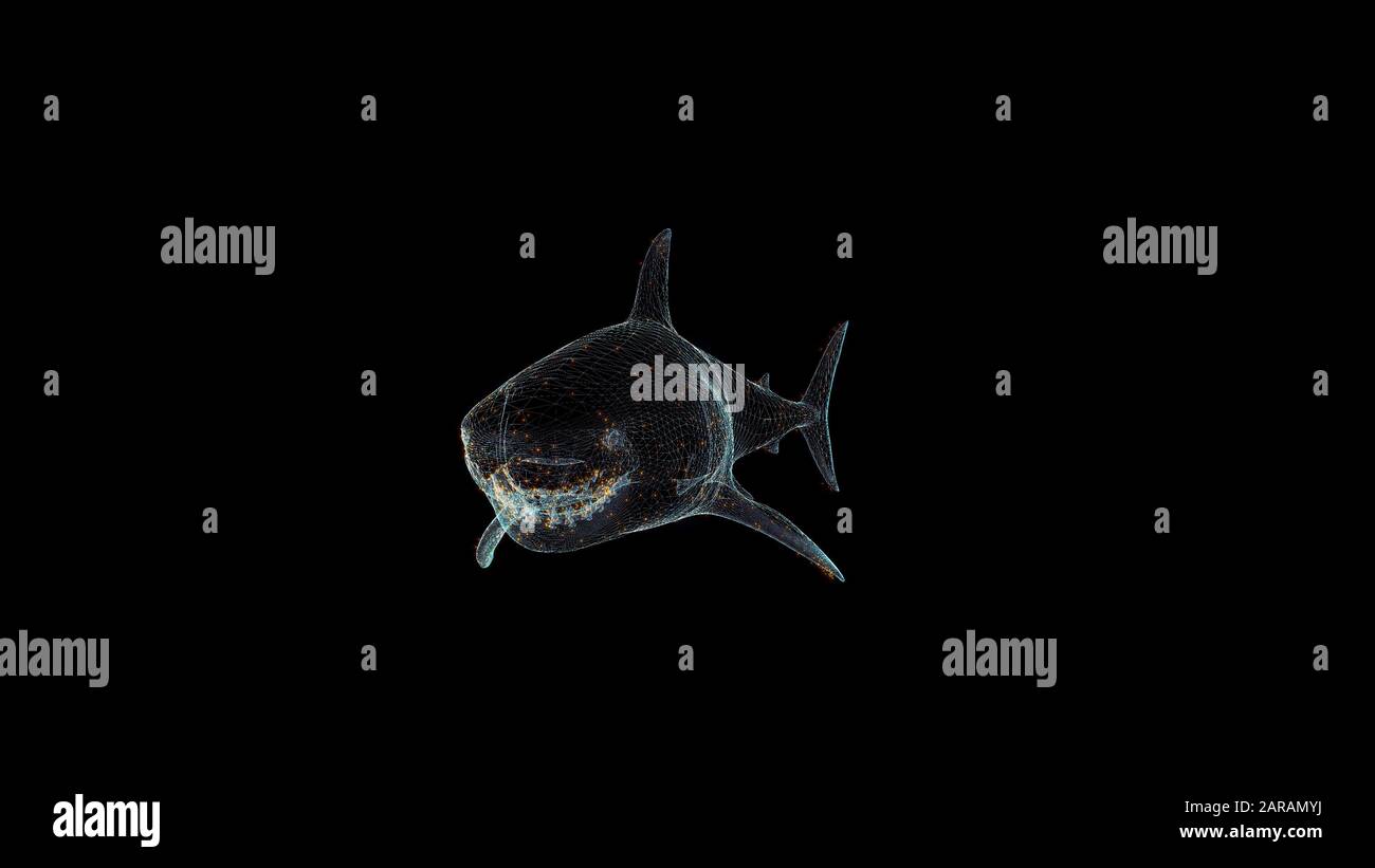 Shark Hologram Wireframe. Nice 3D Render on a black background Stock ...