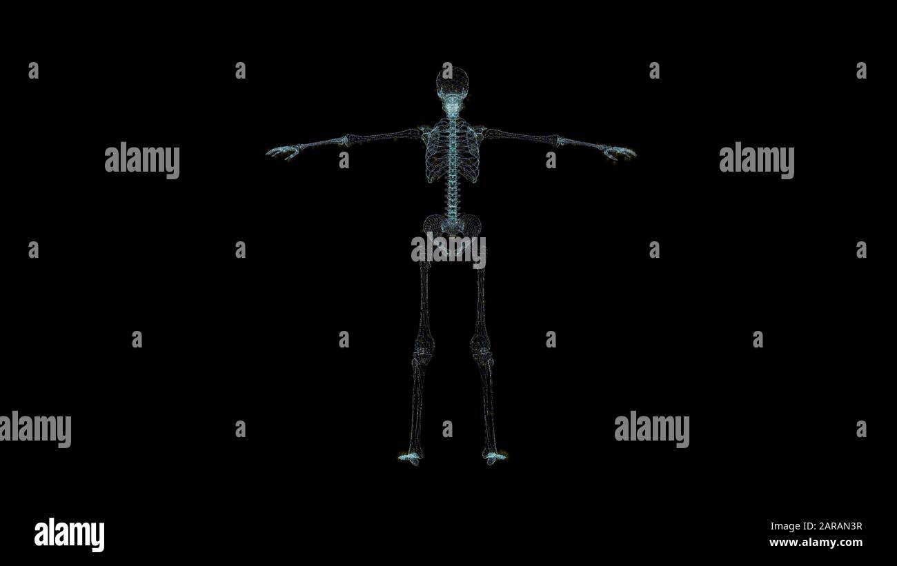 Human Hologram High Resolution Stock Photography and Images - Alamy