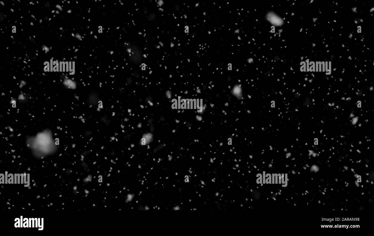 Falling slow snow isolated on black background to be used for composing ...
