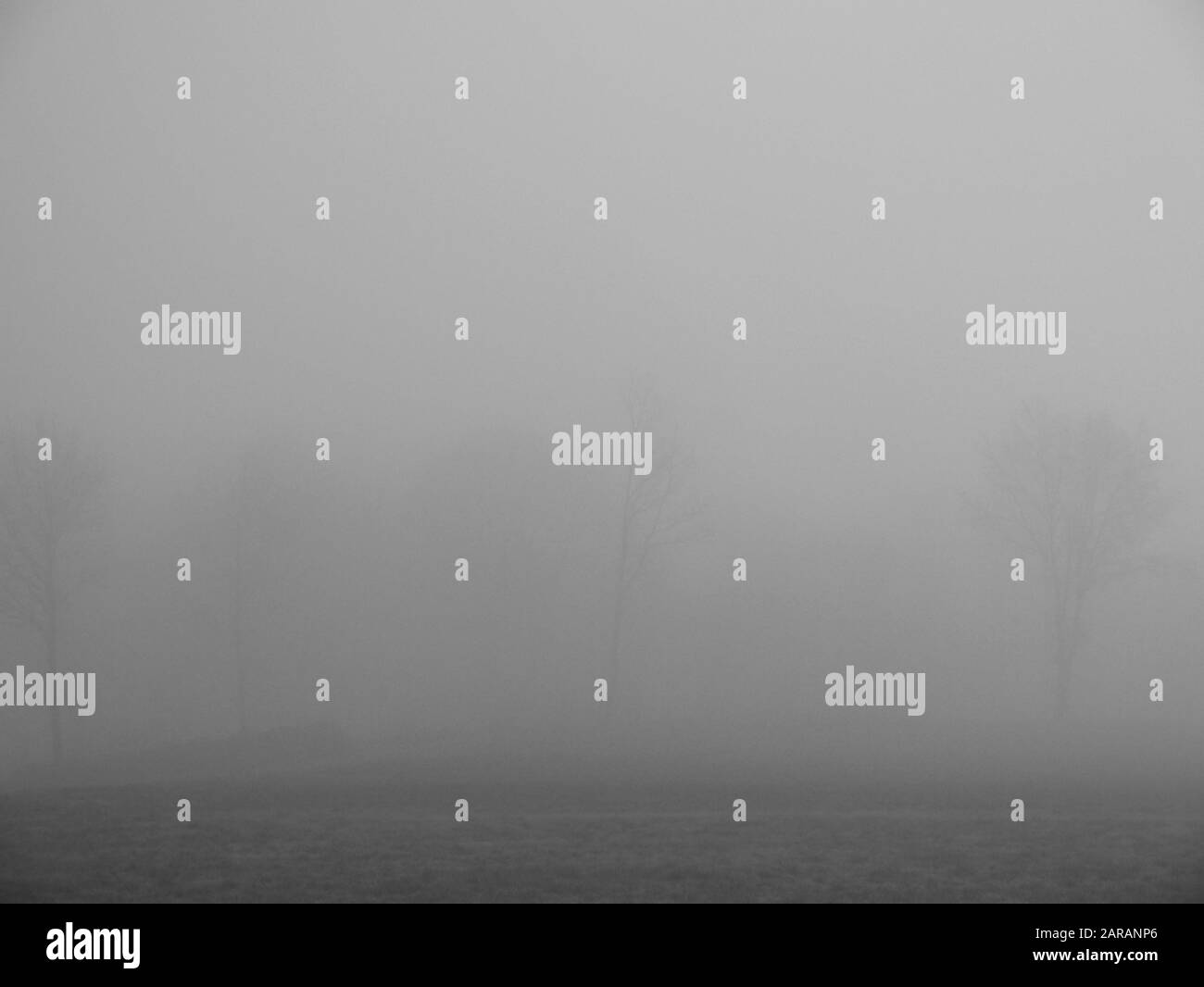 Black and white landscape with fog hi-res stock photography and images ...