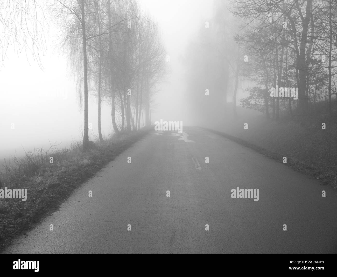 Road and street landscape landscape trees Black and White Stock Photos ...