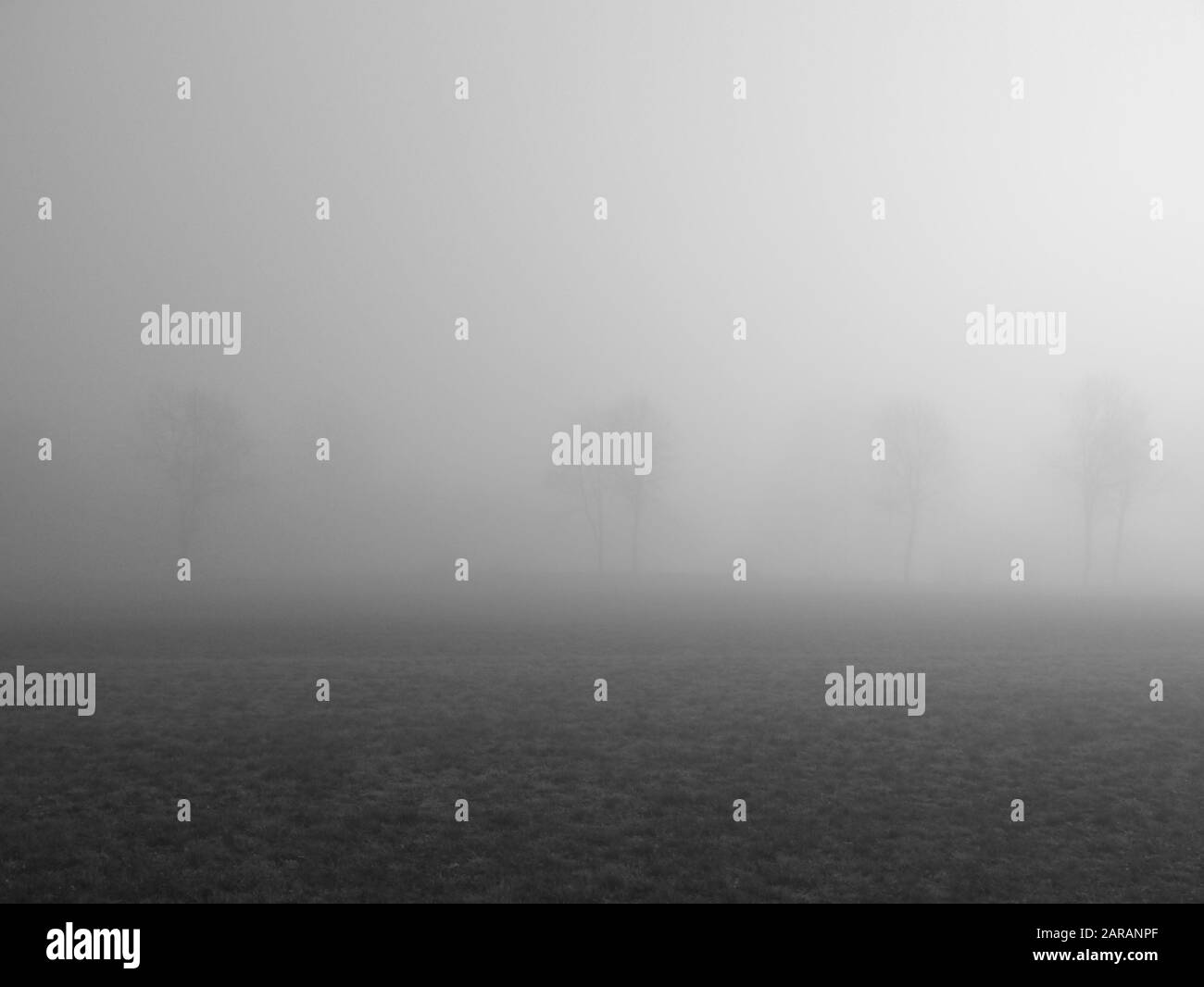 Black and white landscape with fog hi-res stock photography and images ...
