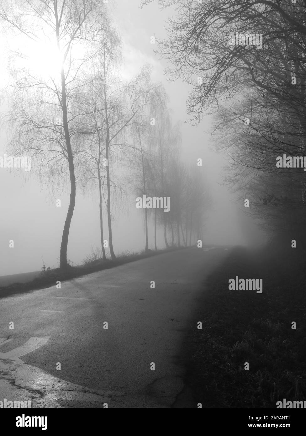 Road and street landscape landscape trees Black and White Stock Photos ...