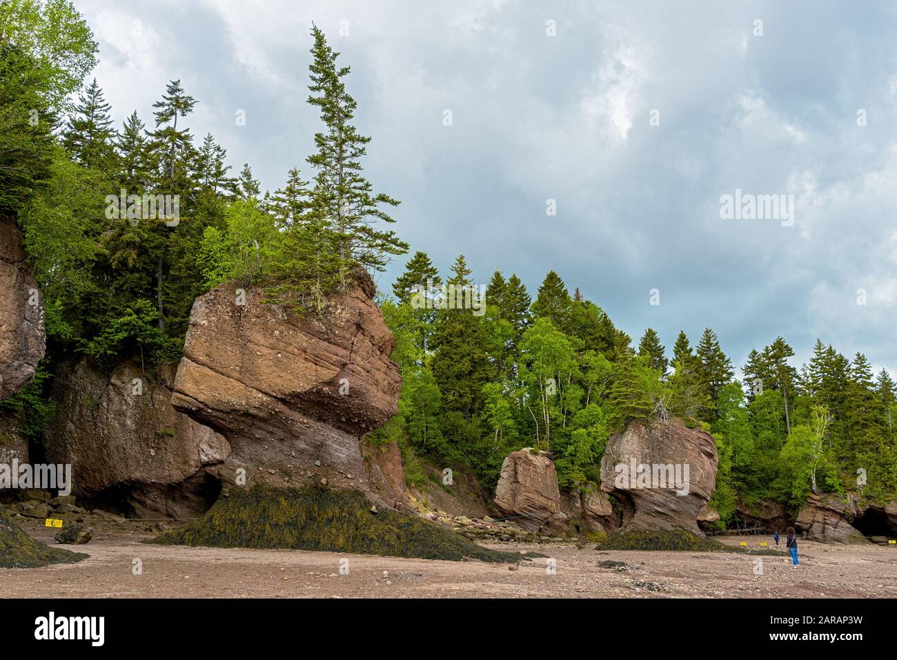 The Hopewell Rocks, commonlycalled the Flowerpots Rocks are rock ...