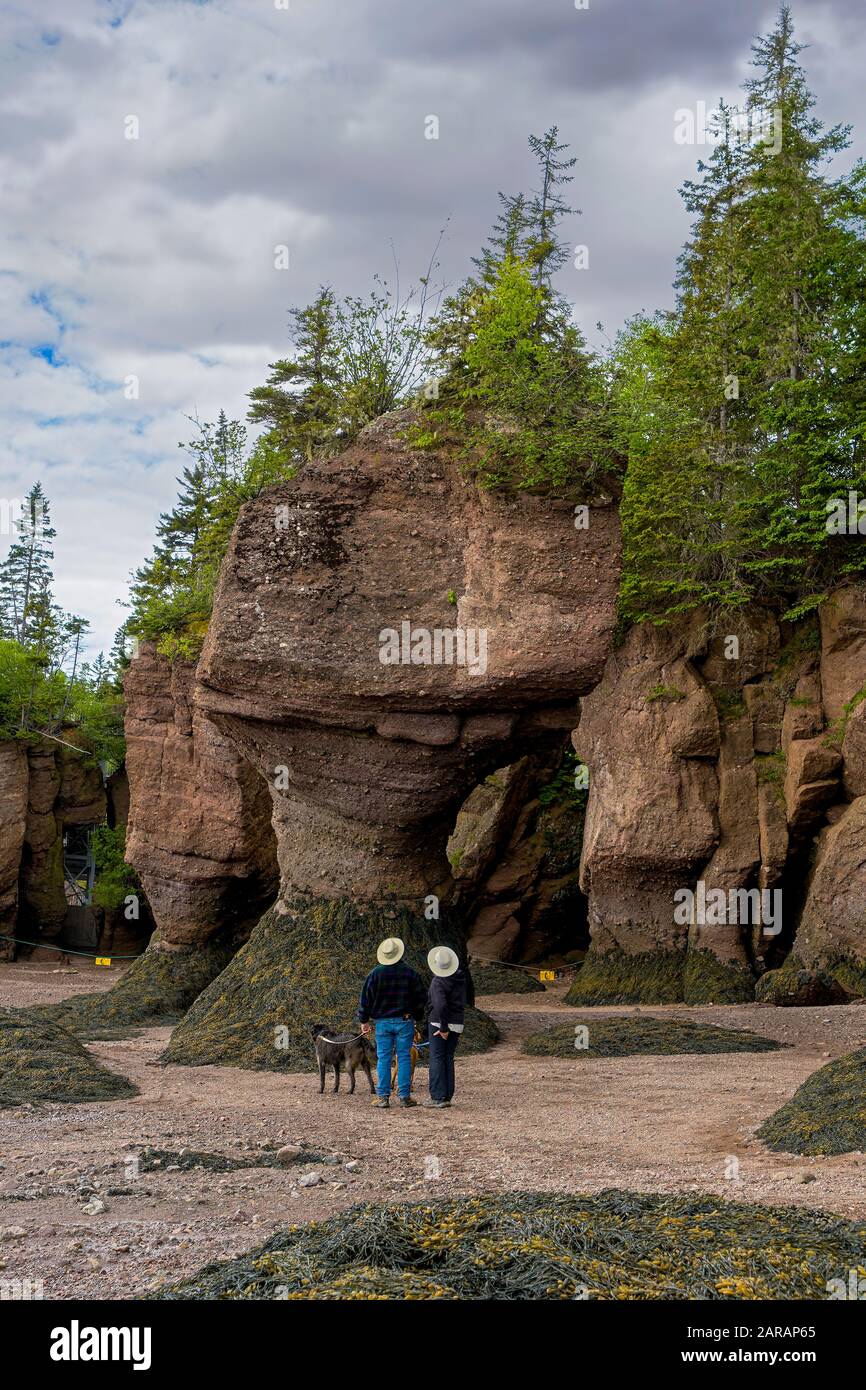 The Hopewell Rocks, commonlycalled the Flowerpots Rocks are rock ...