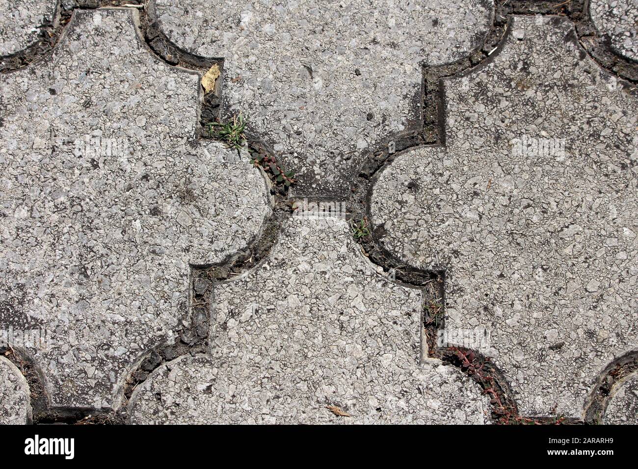 Decorative stone tiles with thick edge filled with dirt and small grass ...