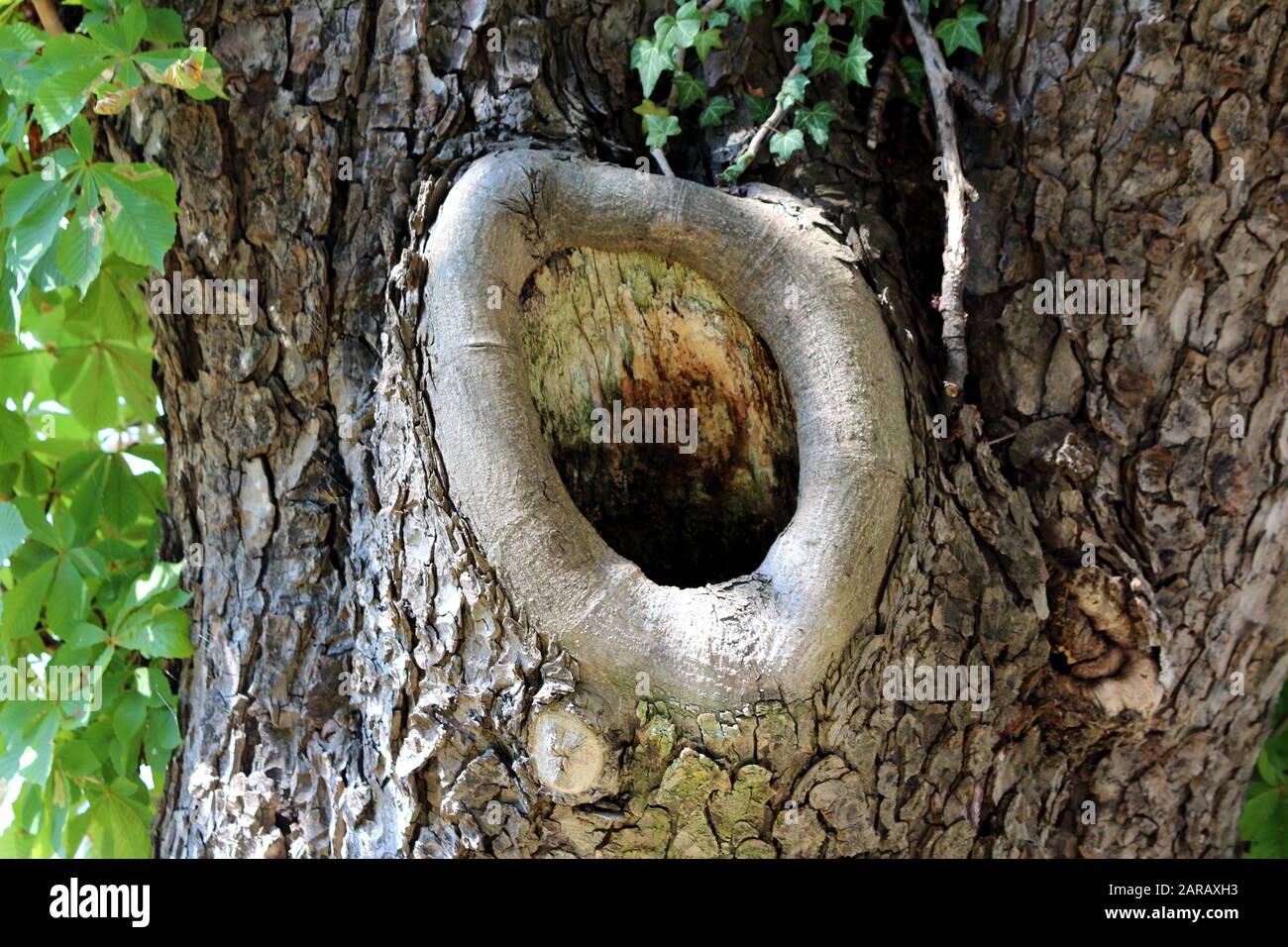 Thick edge hi-res stock photography and images - Alamy