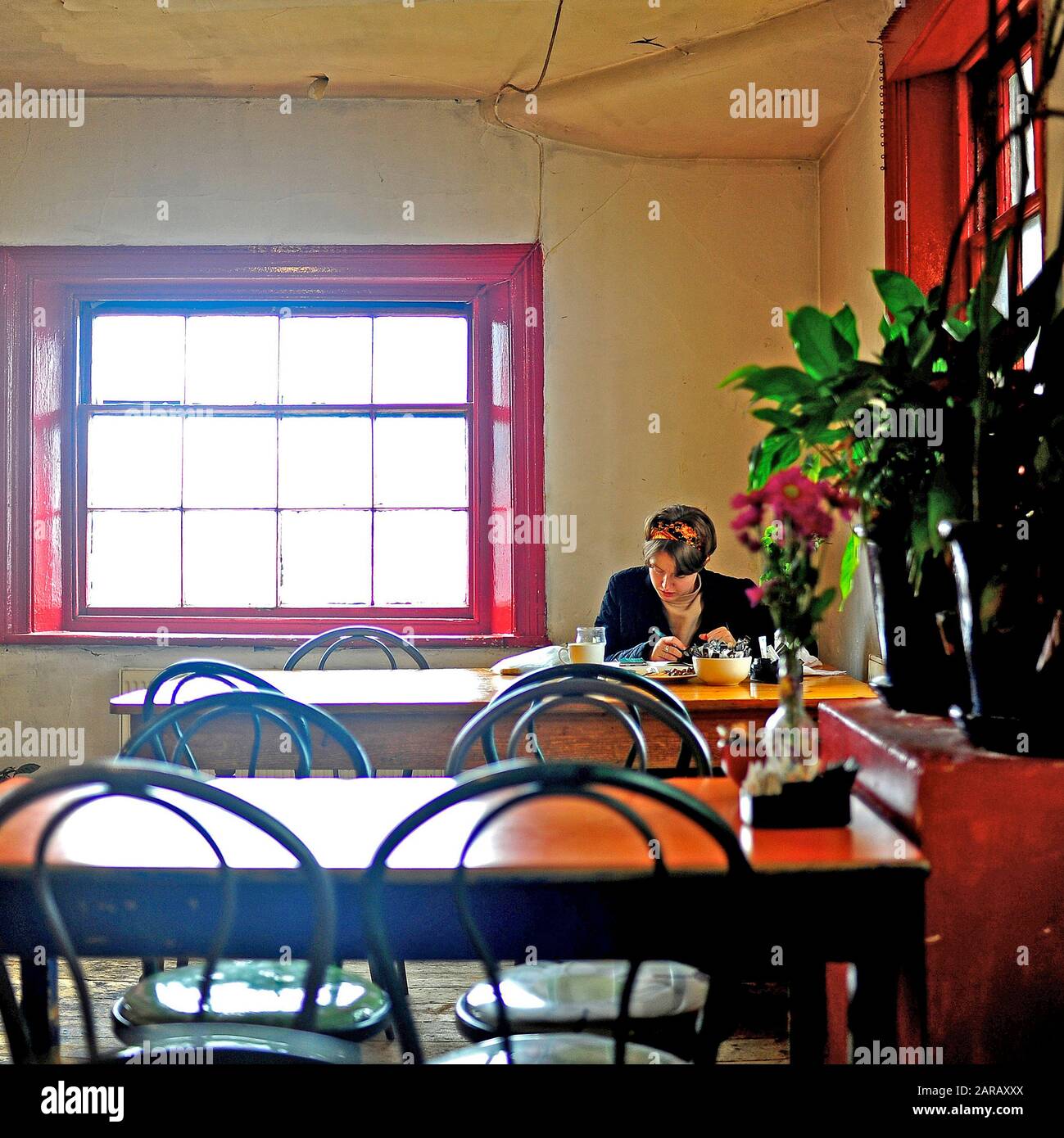 Student taking a working lunch in a corner of the Egg Cafe vegetarian ...