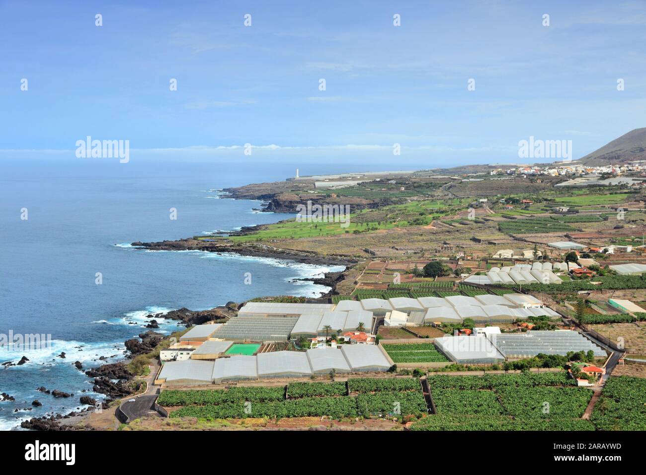Farms in Tenerife - hothouses and banana plantations. Countryside ...