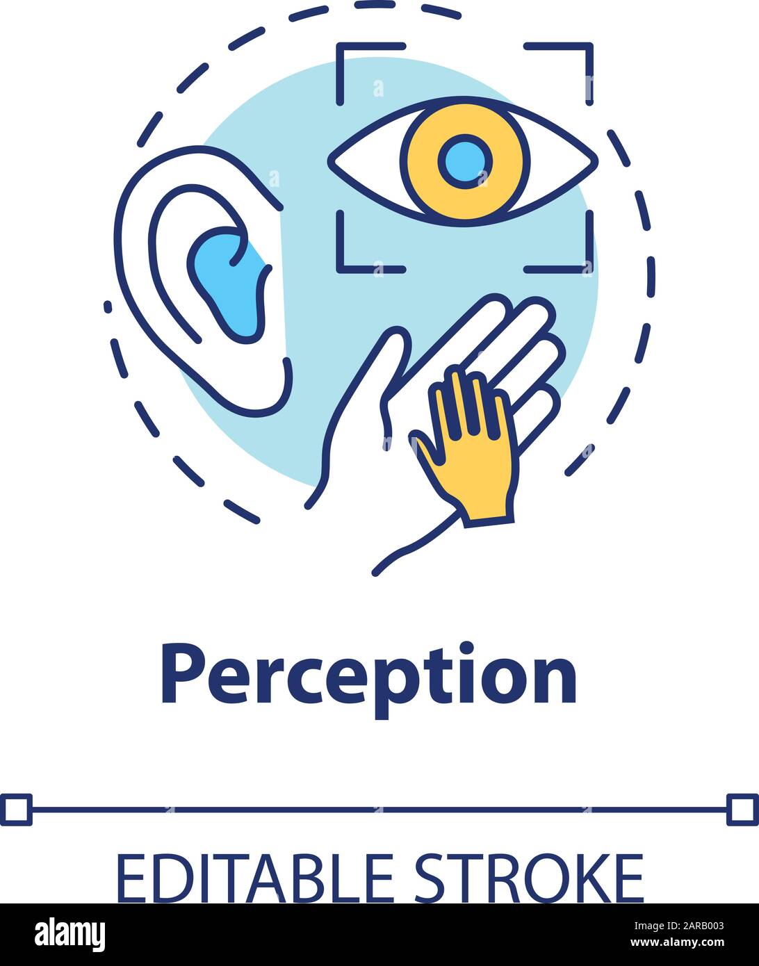 External organ organs Cut Out Stock Images & Pictures - Alamy