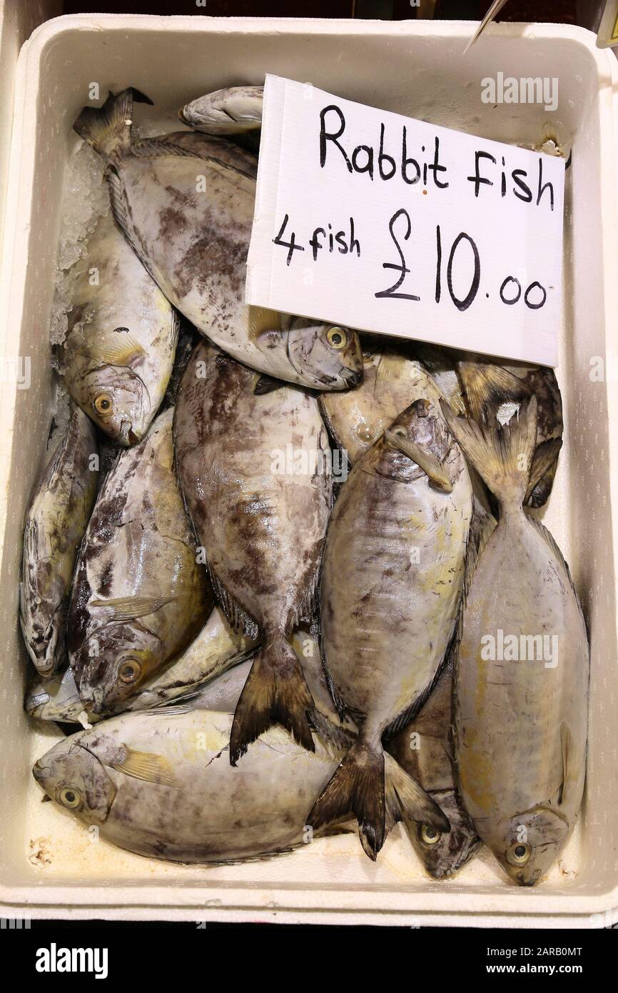 Rabbit fish at Billingsgate Fish Market in Poplar, London, UK Stock ...