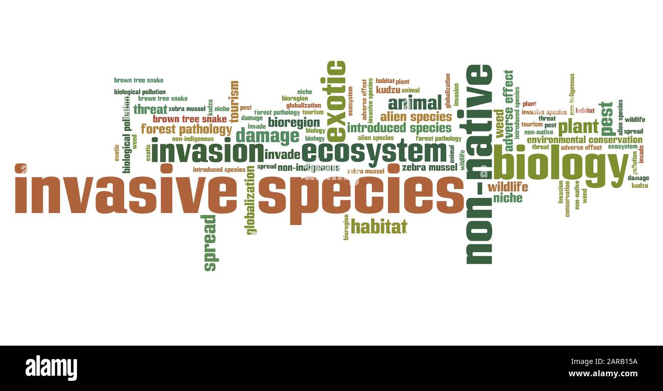 Invasive species - environment issues and concepts word cloud ...