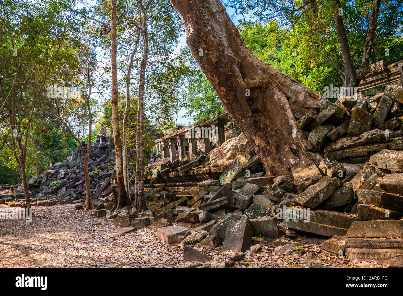 Beng Mealea temple complex, Cambodia Stock Photo - Alamy