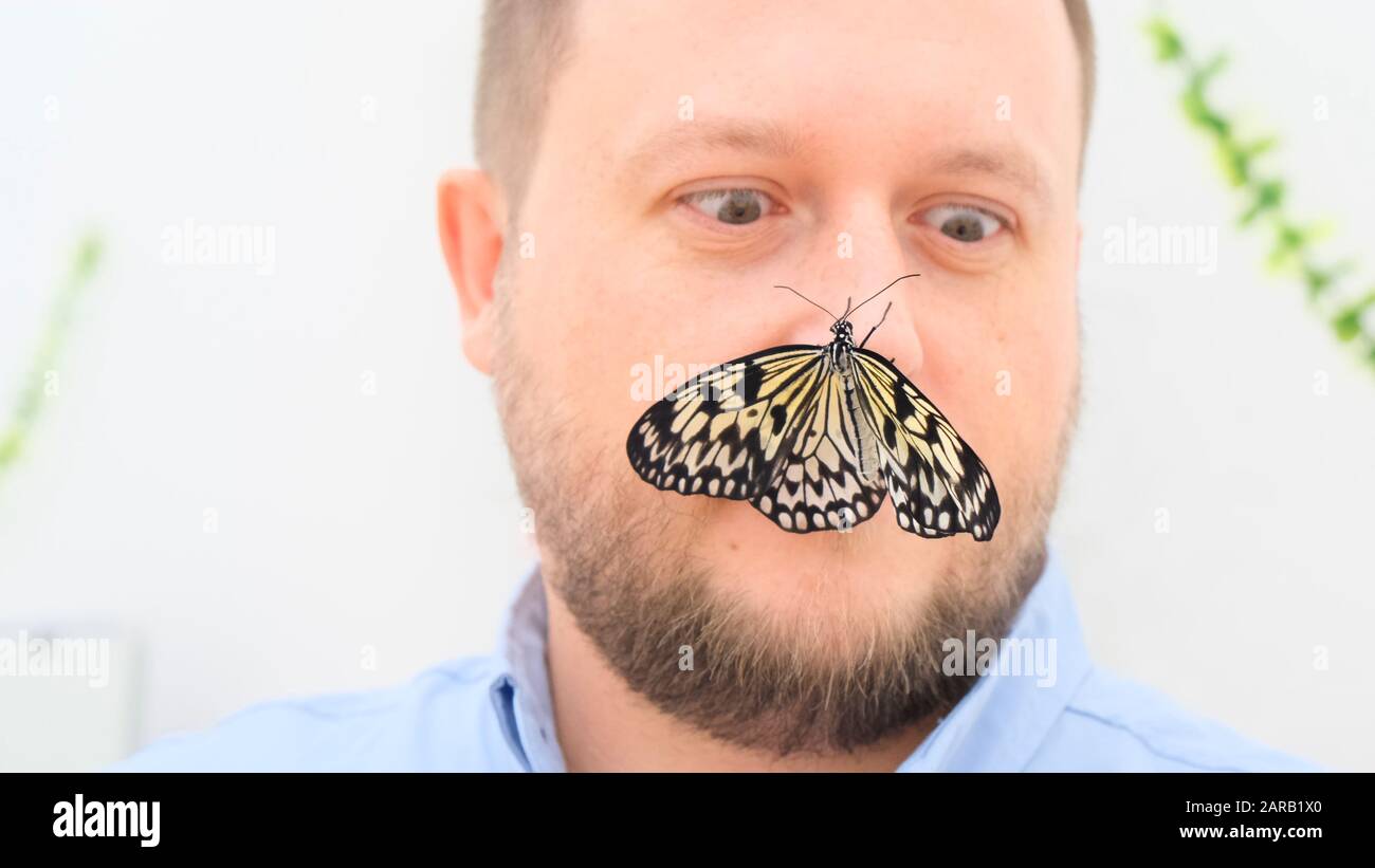 large brown butterfly sits on the nose of a male face, close-up. Copy ...
