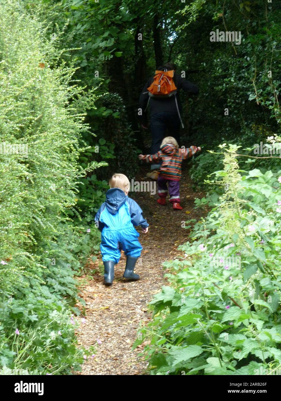 Entering woods hi-res stock photography and images - Alamy
