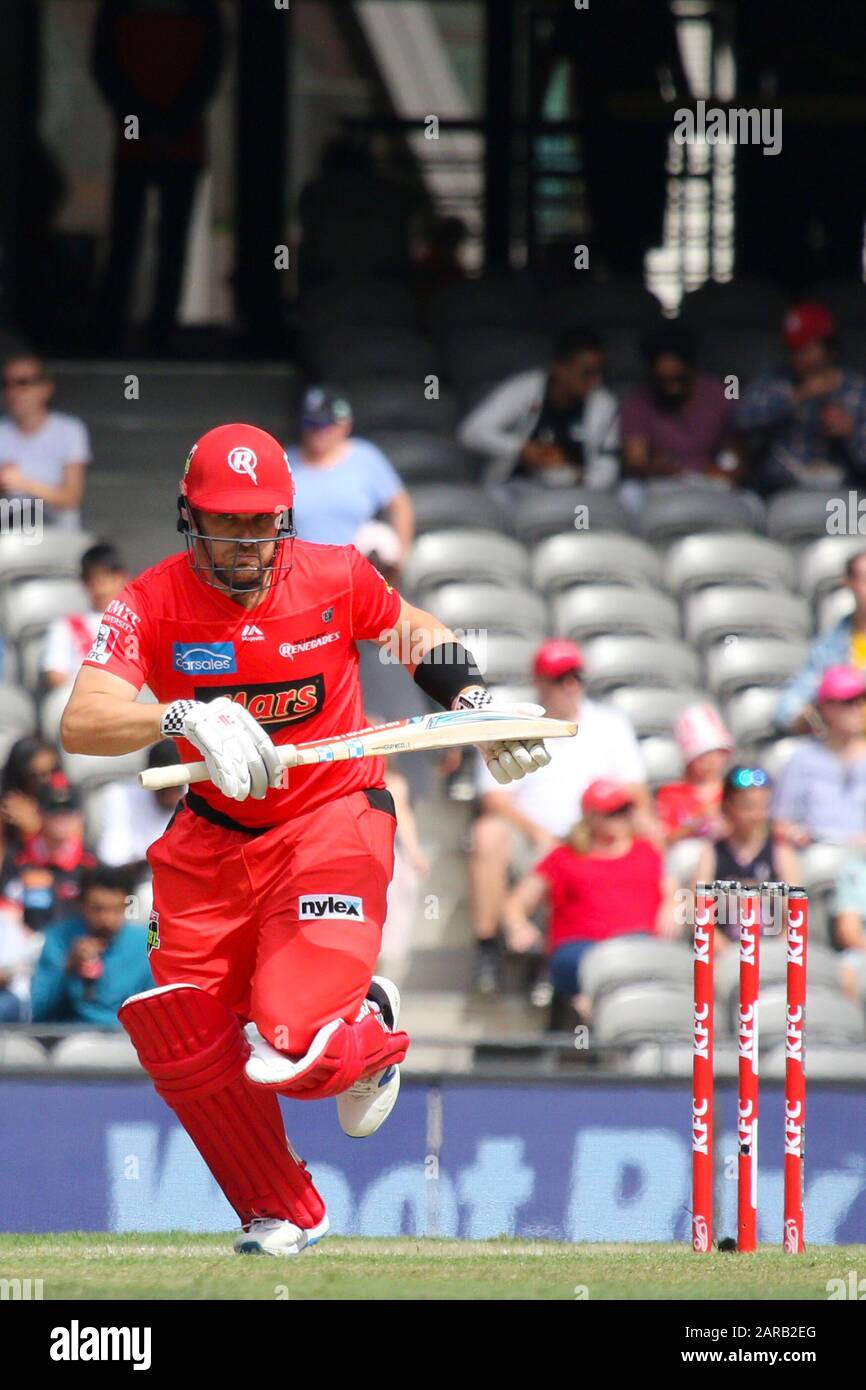 Marvel stadium, cricket hi-res stock photography and images - Alamy