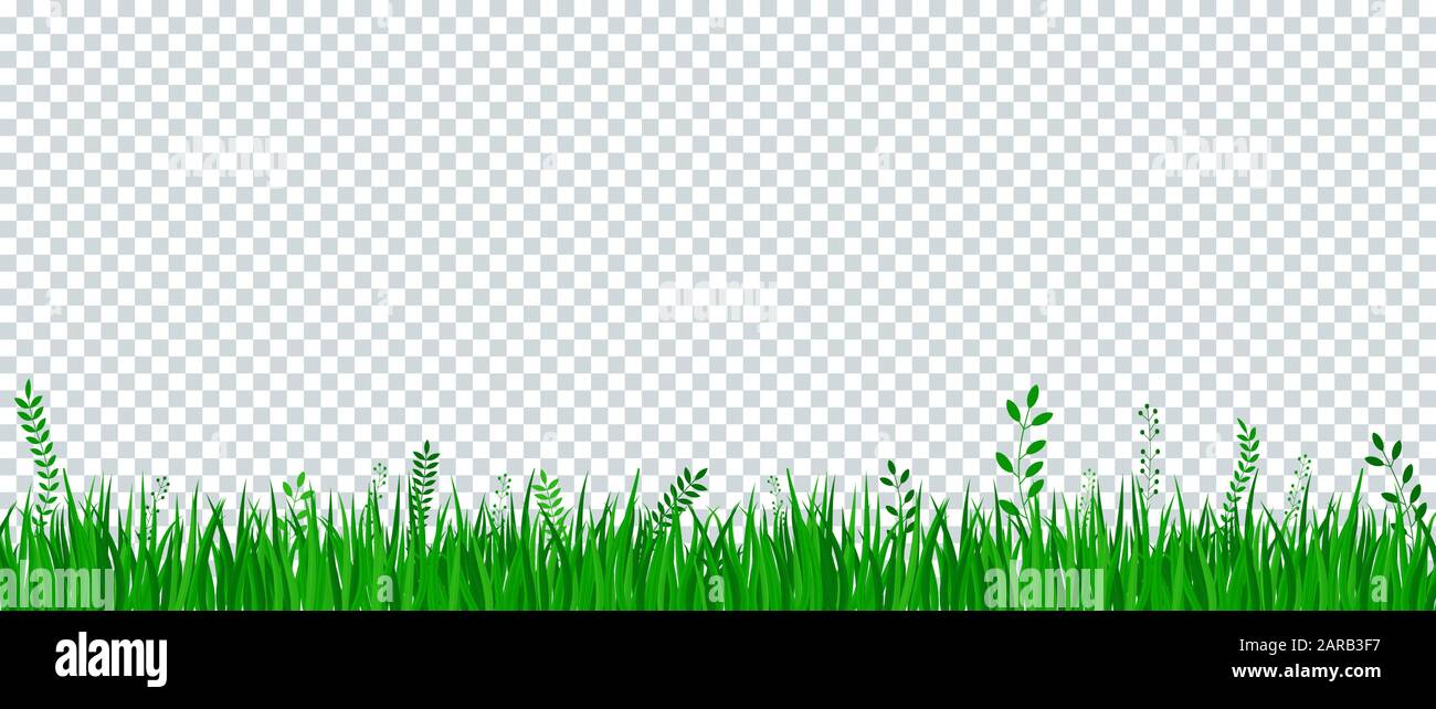 Green grass border Stock Vector Image & Art - Alamy