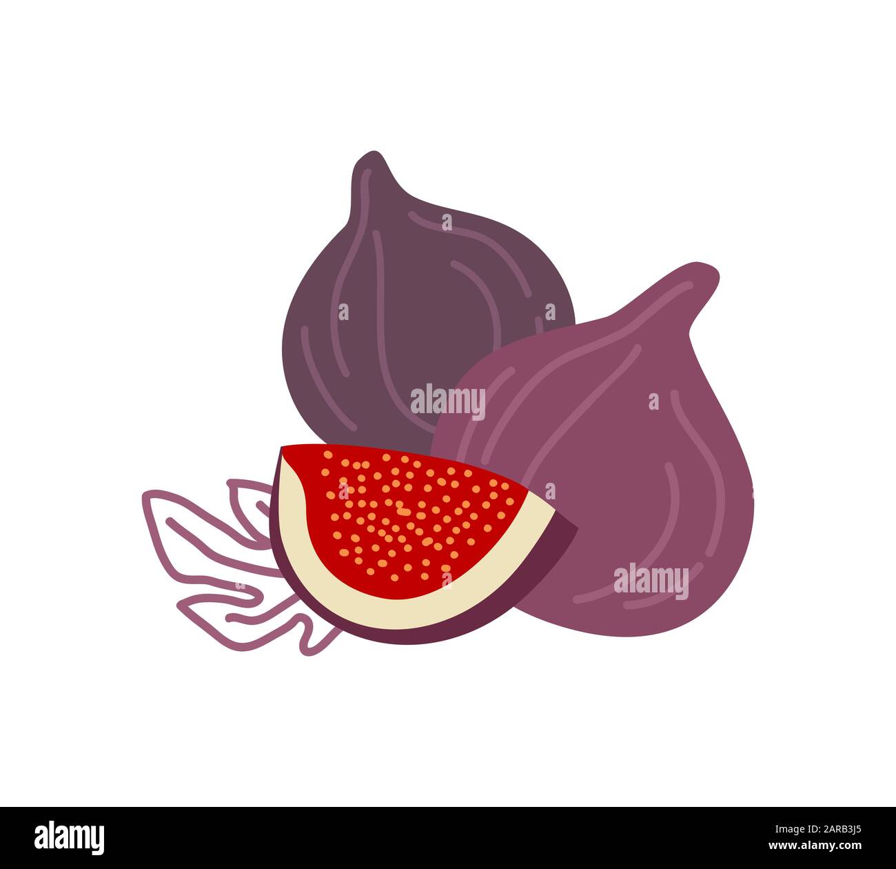 Three isolated figs design colorful vector illustration. Two whole and ...