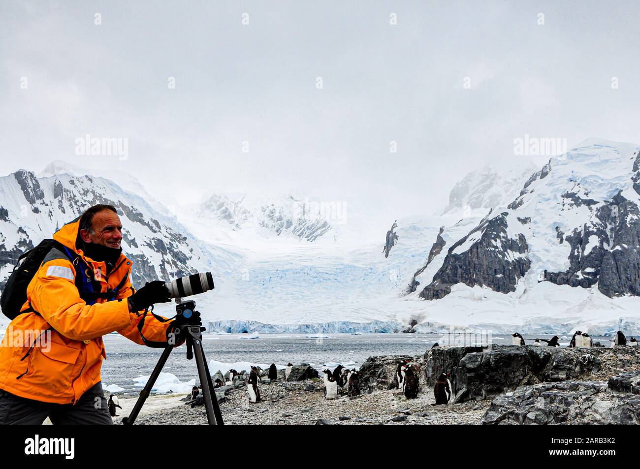 Nature photographer documenting wildlife in Antarctica Stock Photo - Alamy