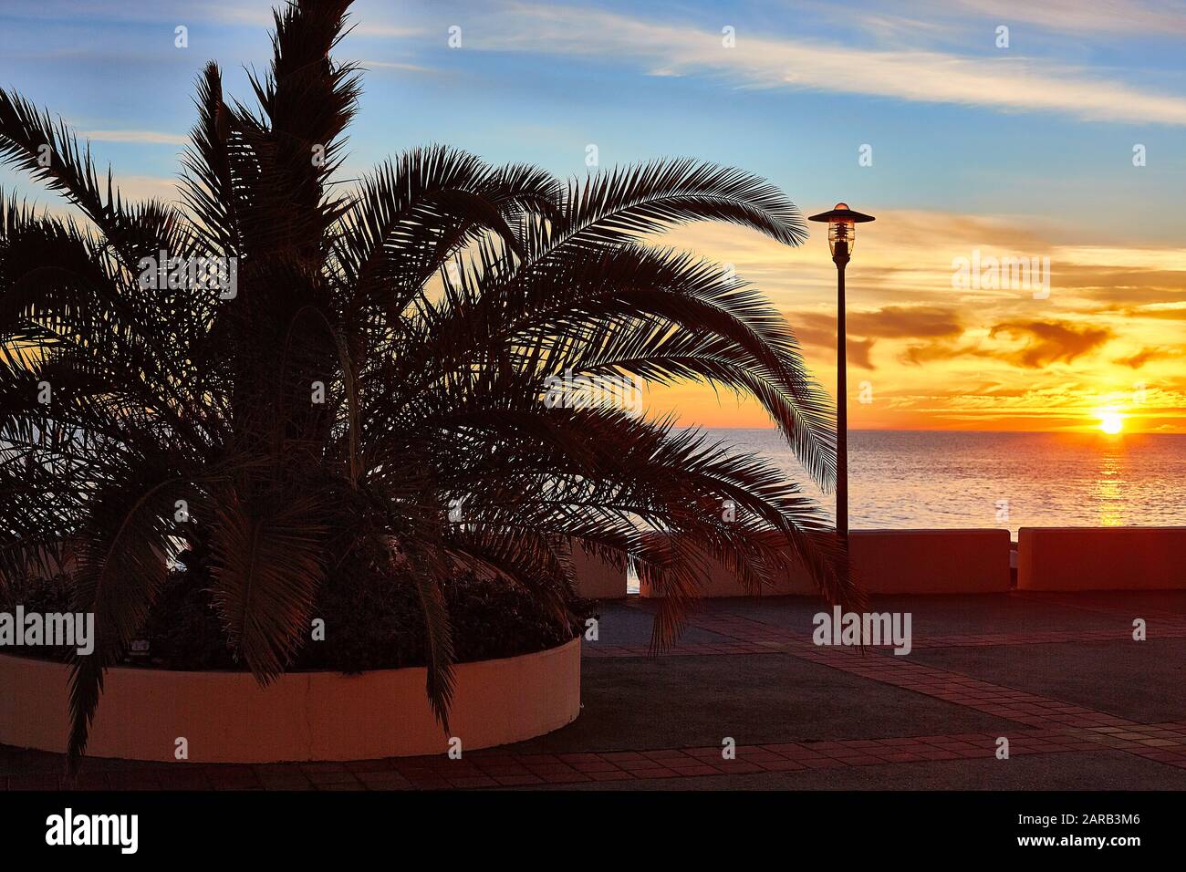 sunset, empty beach with palm tree and lantern Stock Photo - Alamy