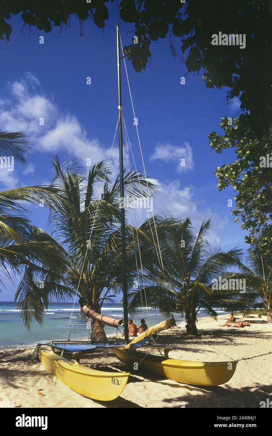 Catamaran sailing in barbados hi-res stock photography and images - Alamy