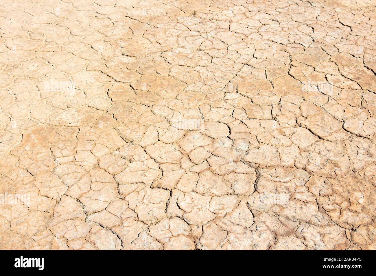 Dry earth surface - desert background. Death Valley, California Stock ...