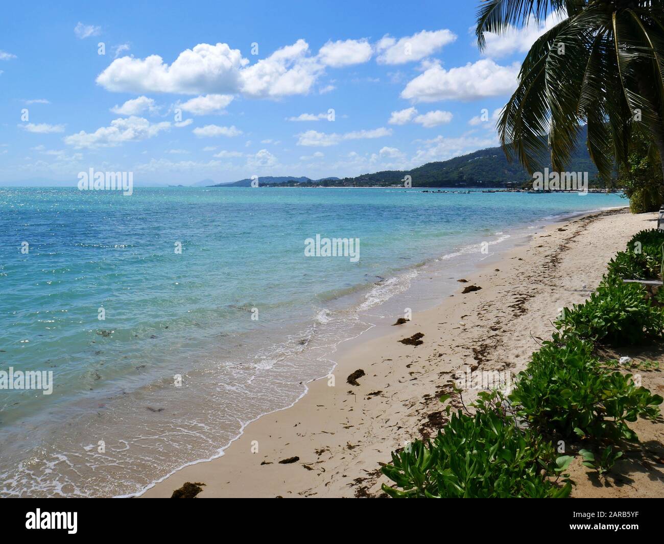 Tropical beach ko Samui, Thailand Stock Photo - Alamy