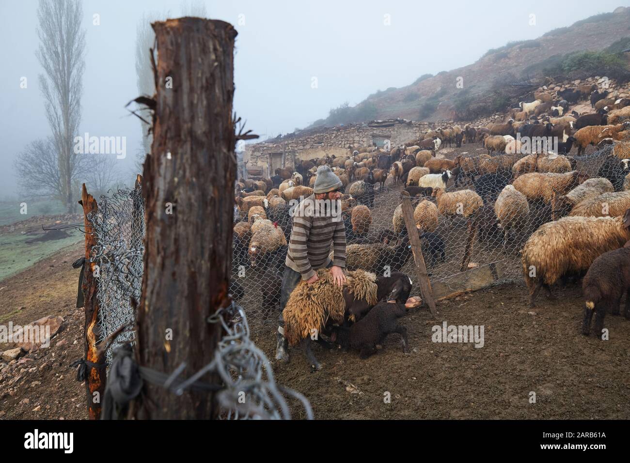 Iran islamic la hi-res stock photography and images - Alamy