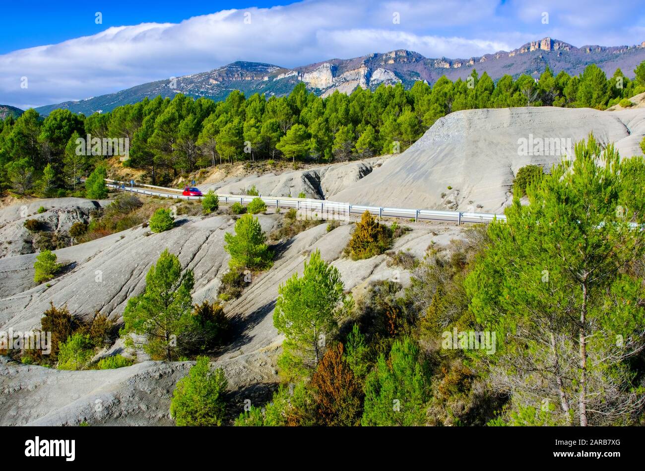 Forestry In The Desert High Resolution Stock Photography and Images - Alamy