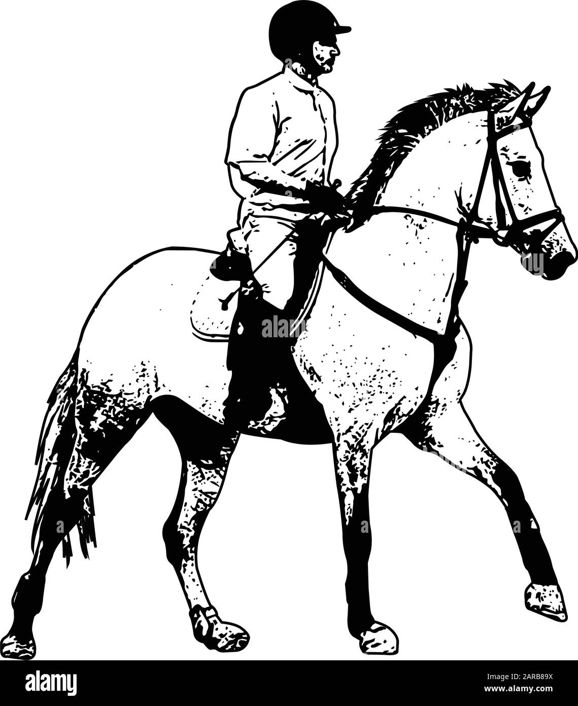 equestrian, sketch illustration - vector Stock Vector Image & Art - Alamy