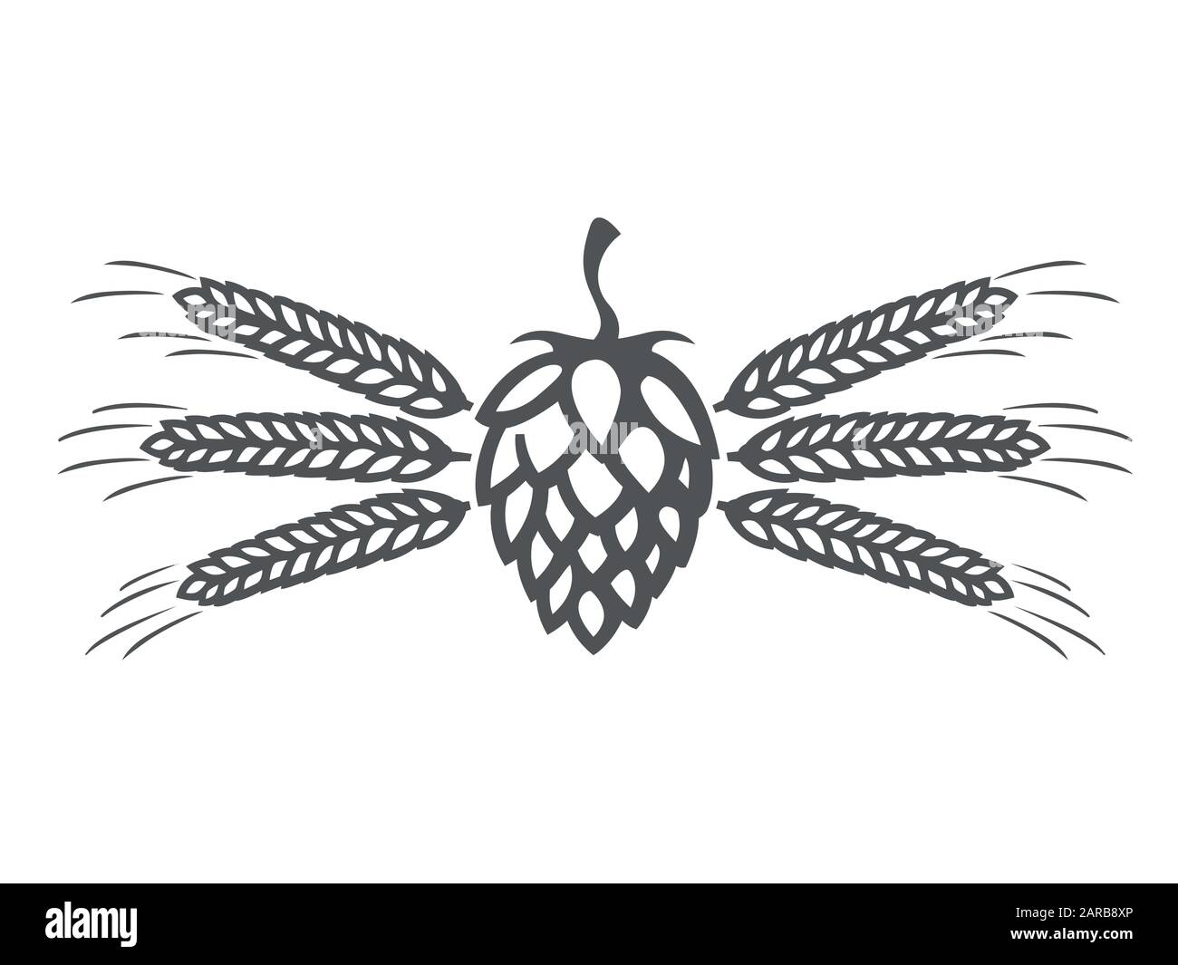 Vector grey hop and barley ear for brewing Stock Vector Image & Art - Alamy