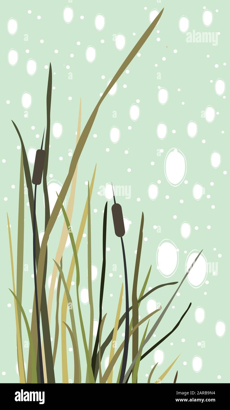 Bush of Swamp Reed on a Lake. vector Illustration Stock Vector Image ...