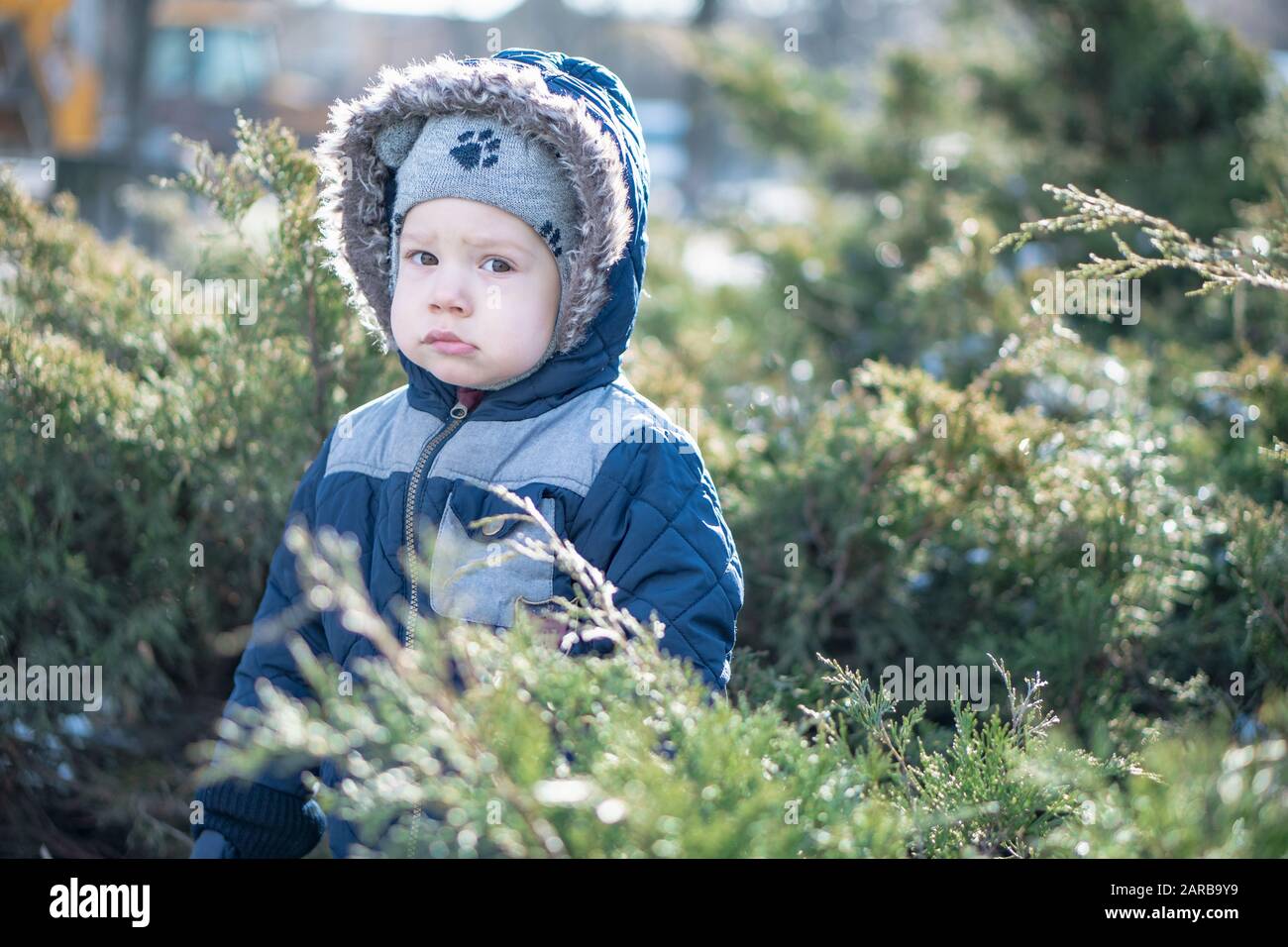 Children playing in snow behind hi-res stock photography and images - Alamy