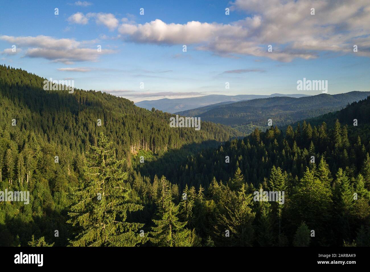 Aerial view of green mountain hills covered with evergreen spruce forest in summer Stock Photo ...