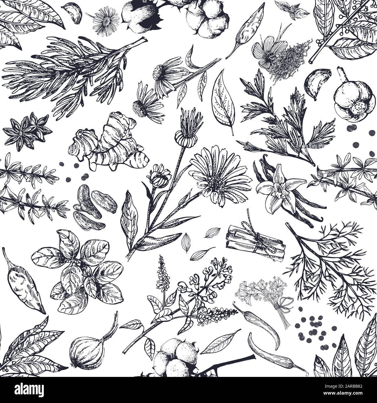 Seamless pattern of hand drawn sketch style different kinds of herbs ...