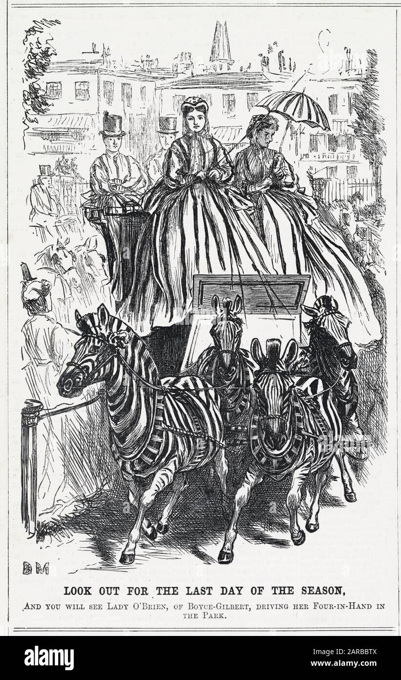 Zebra Riding A Motorcycle