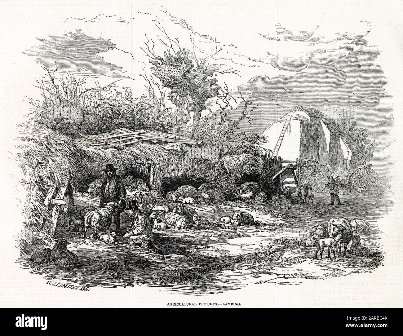 1846 hi-res stock photography and images - Alamy