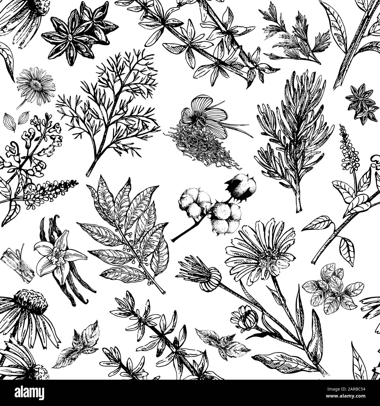 Seamless pattern of hand drawn sketch style different kinds of plants ...