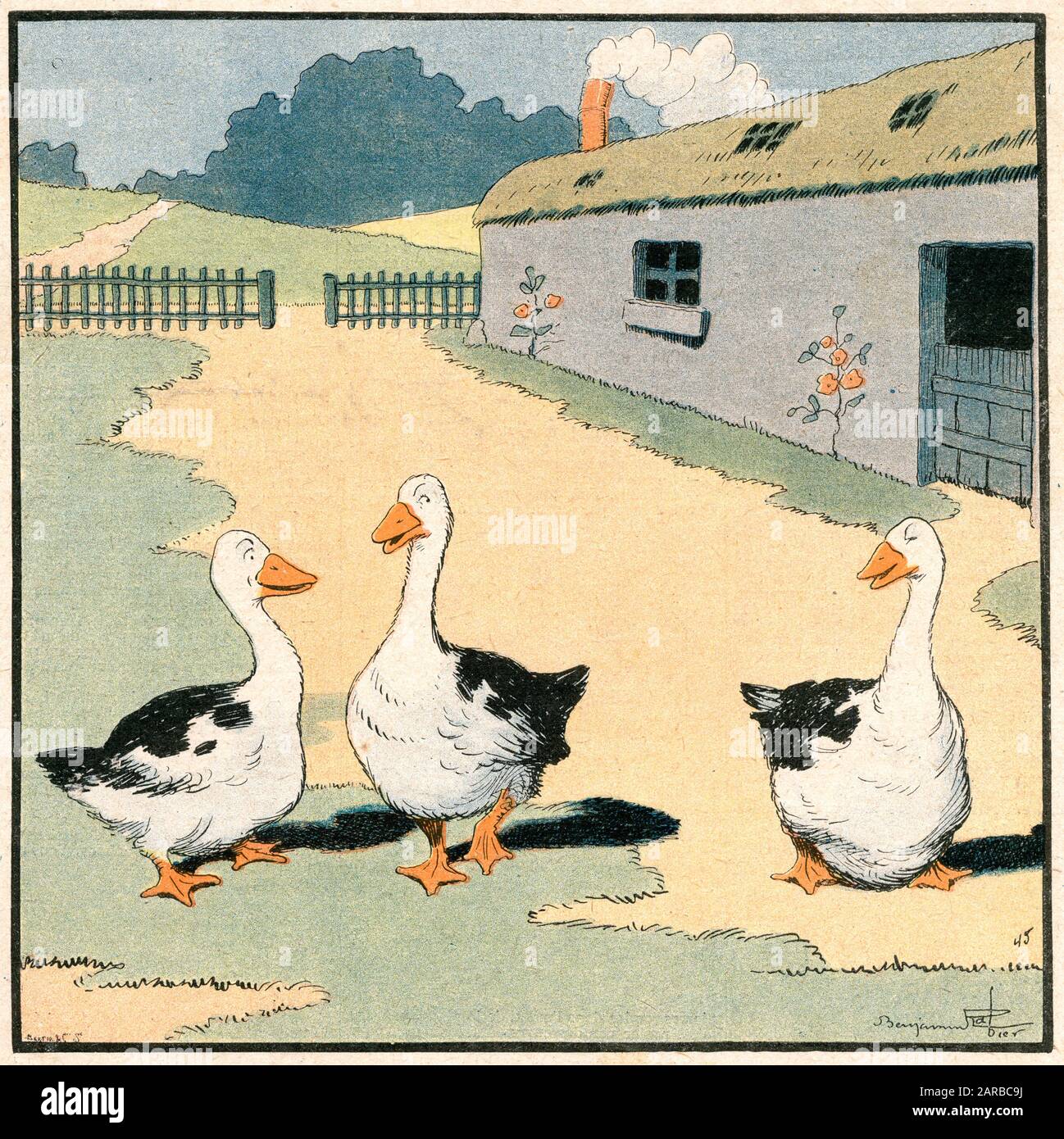 GEESE IN FRANCE Stock Photo - Alamy