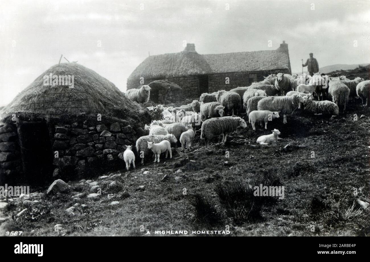 A Highland Homestead with Shepherd and his flock - Scotland Stock Photo ...