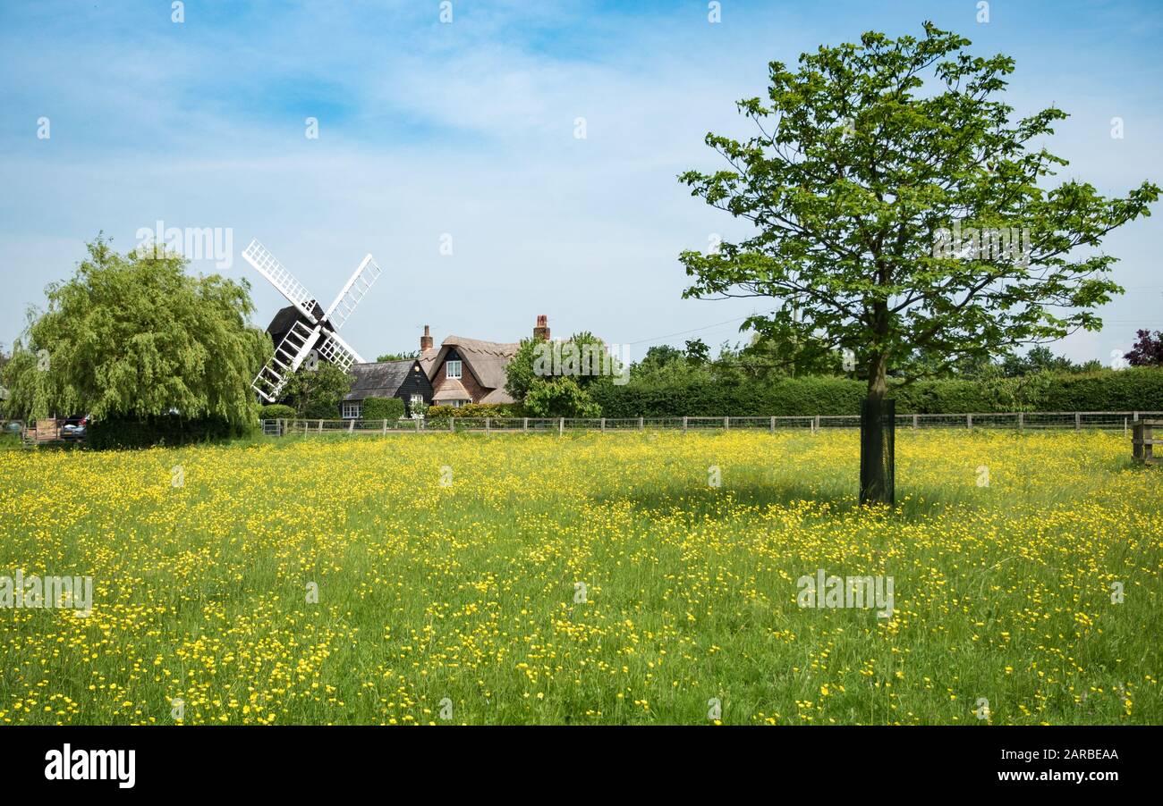 A traditional old English windmill and farm house cottage nestling in ...