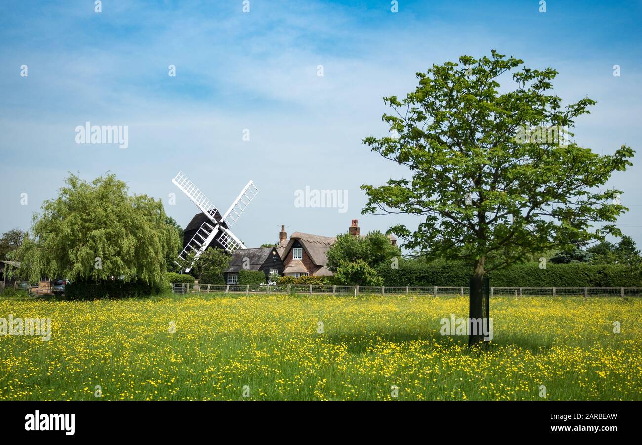 A traditional old English windmill and farm house cottage nestling in ...