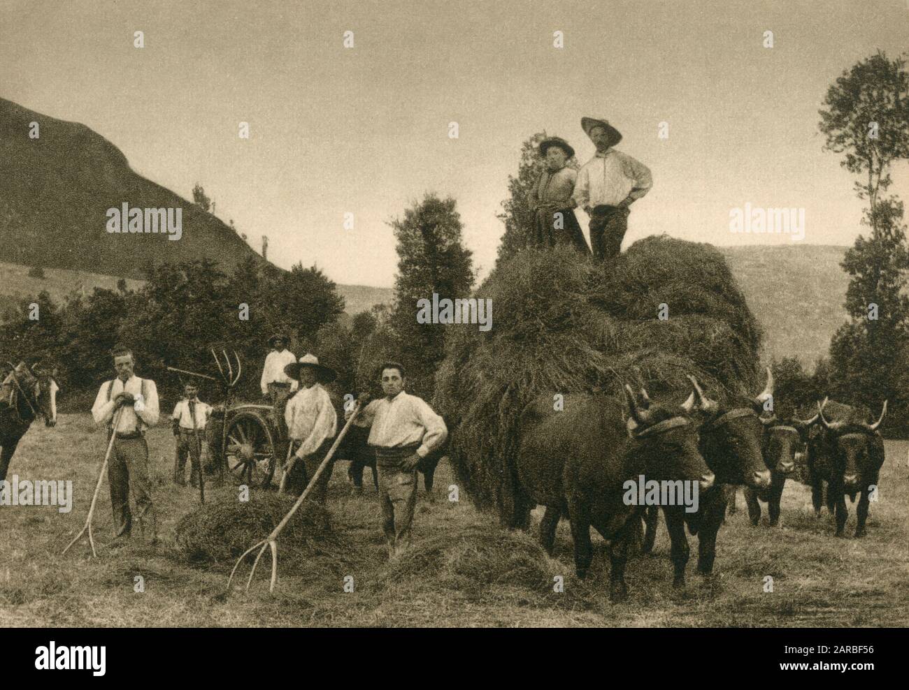 Haymaking in the Auvergne, France Stock Photo - Alamy