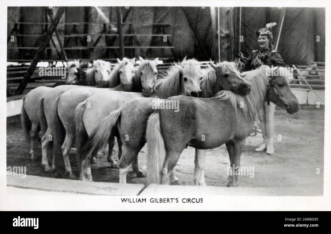 The performing ponies of William Gilbert's Circus Stock Photo - Alamy