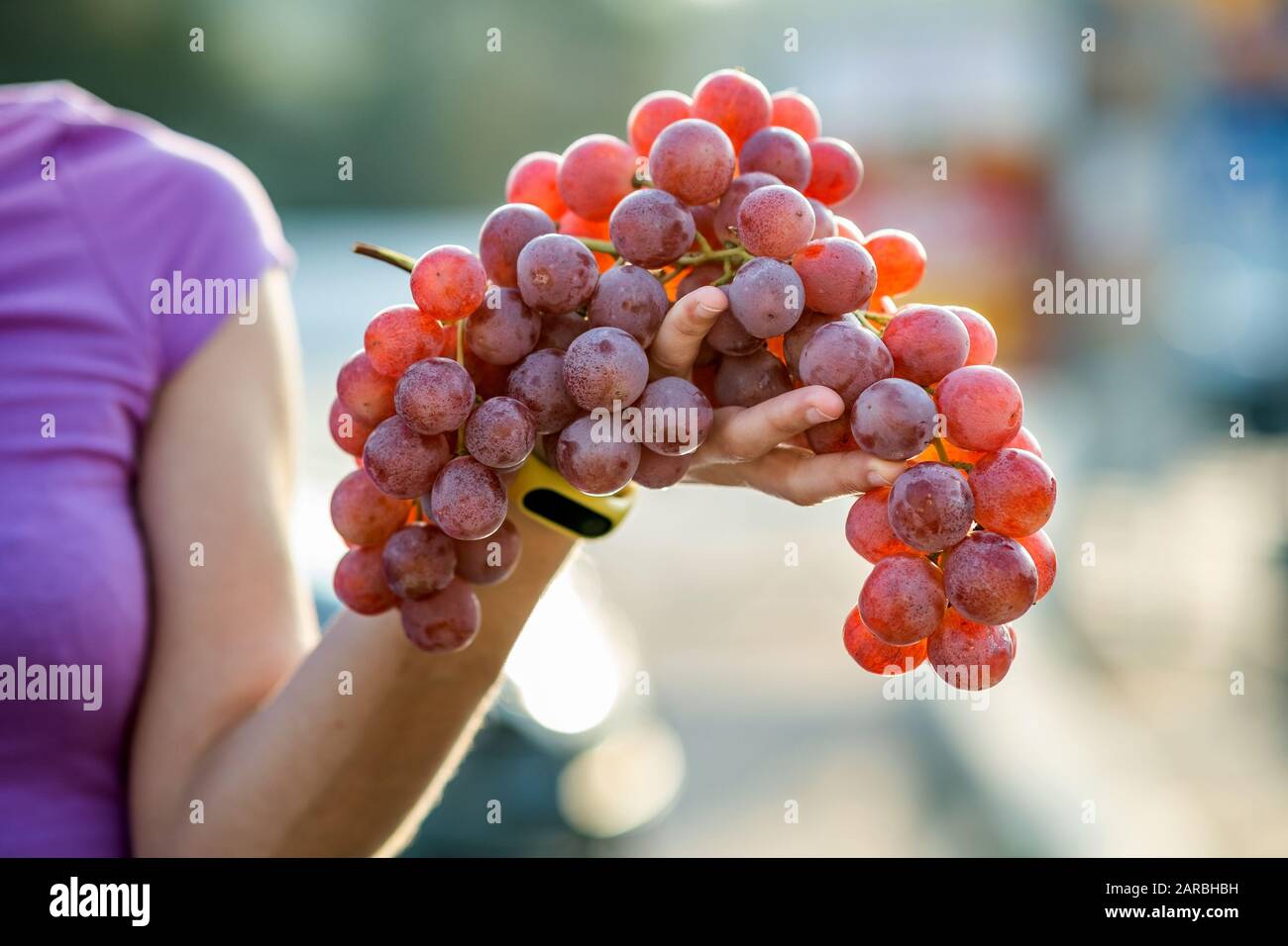 A woman holding big cluster of red juicy grapes in her hand Stock Photo ...