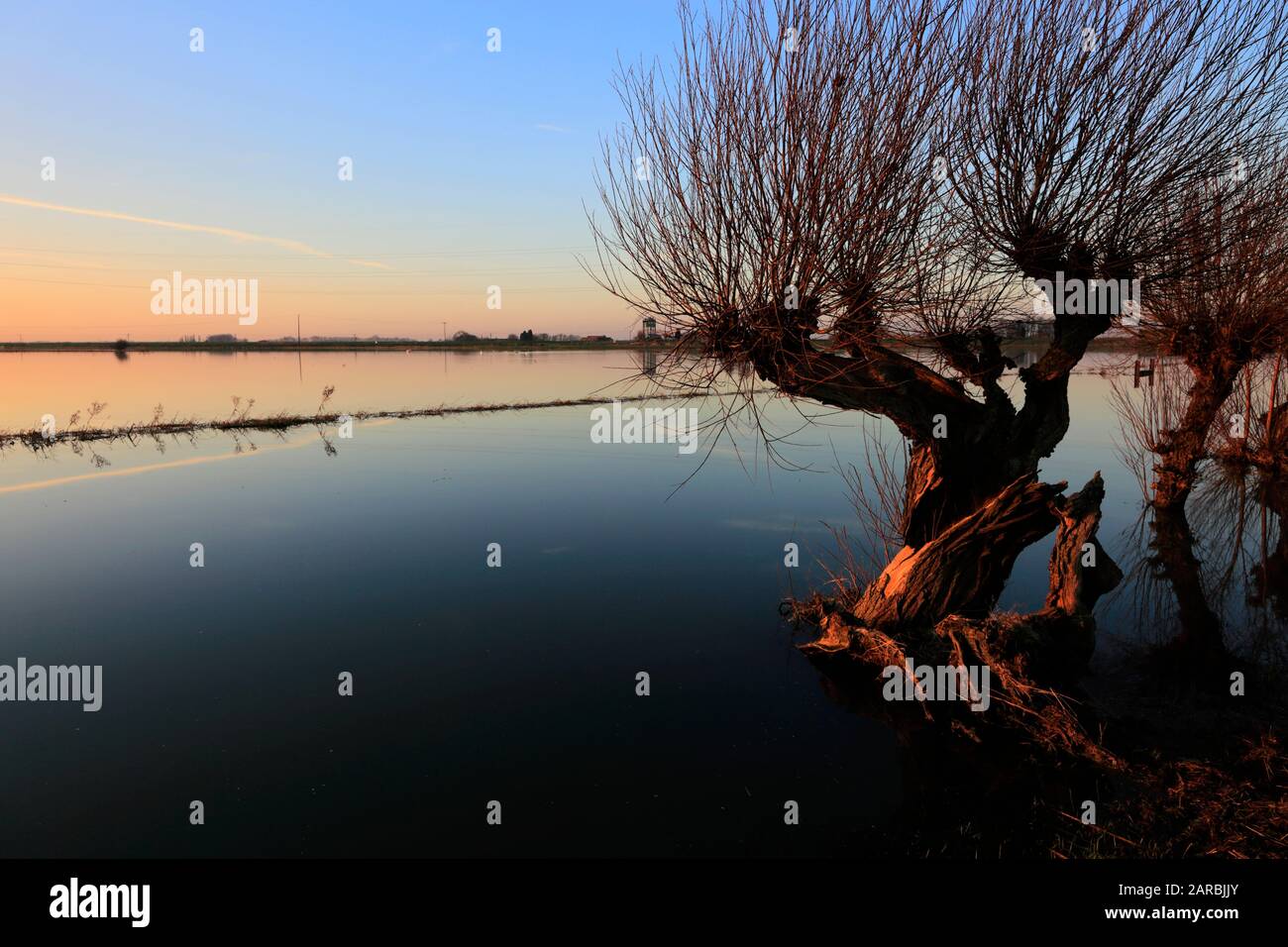 Sunset over the Whittlesey washes nature reserve, Whittlesey town ...