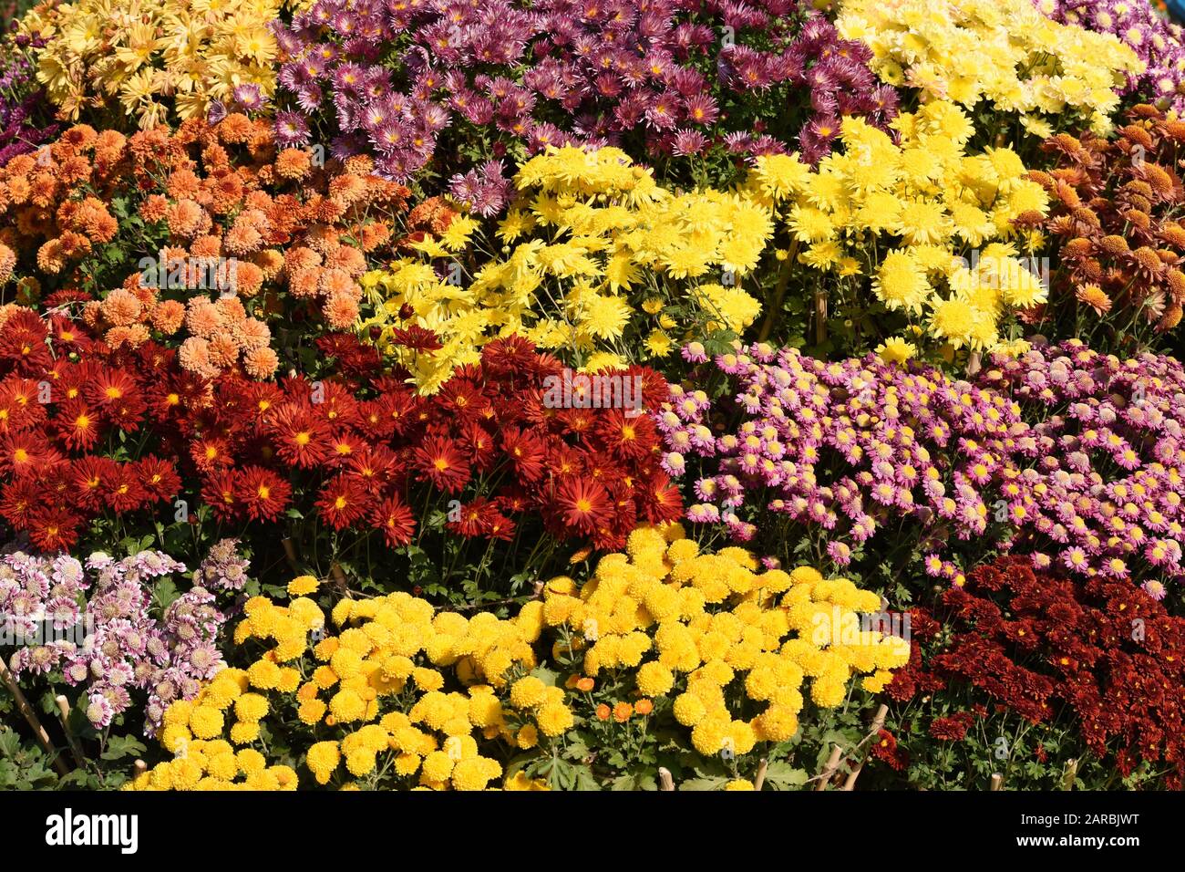 Beautiful nature wallpapers hi-res stock photography and images - Alamy