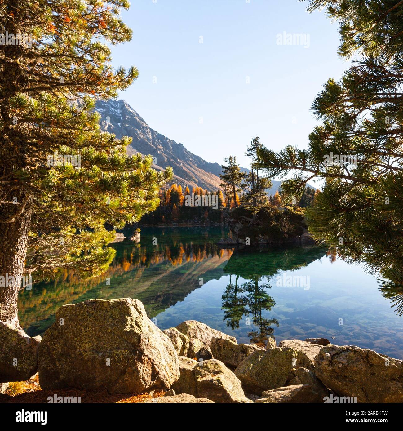 Violet Valley - Violet Lake - Poschiavo - Switzerland Stock Photo - Alamy
