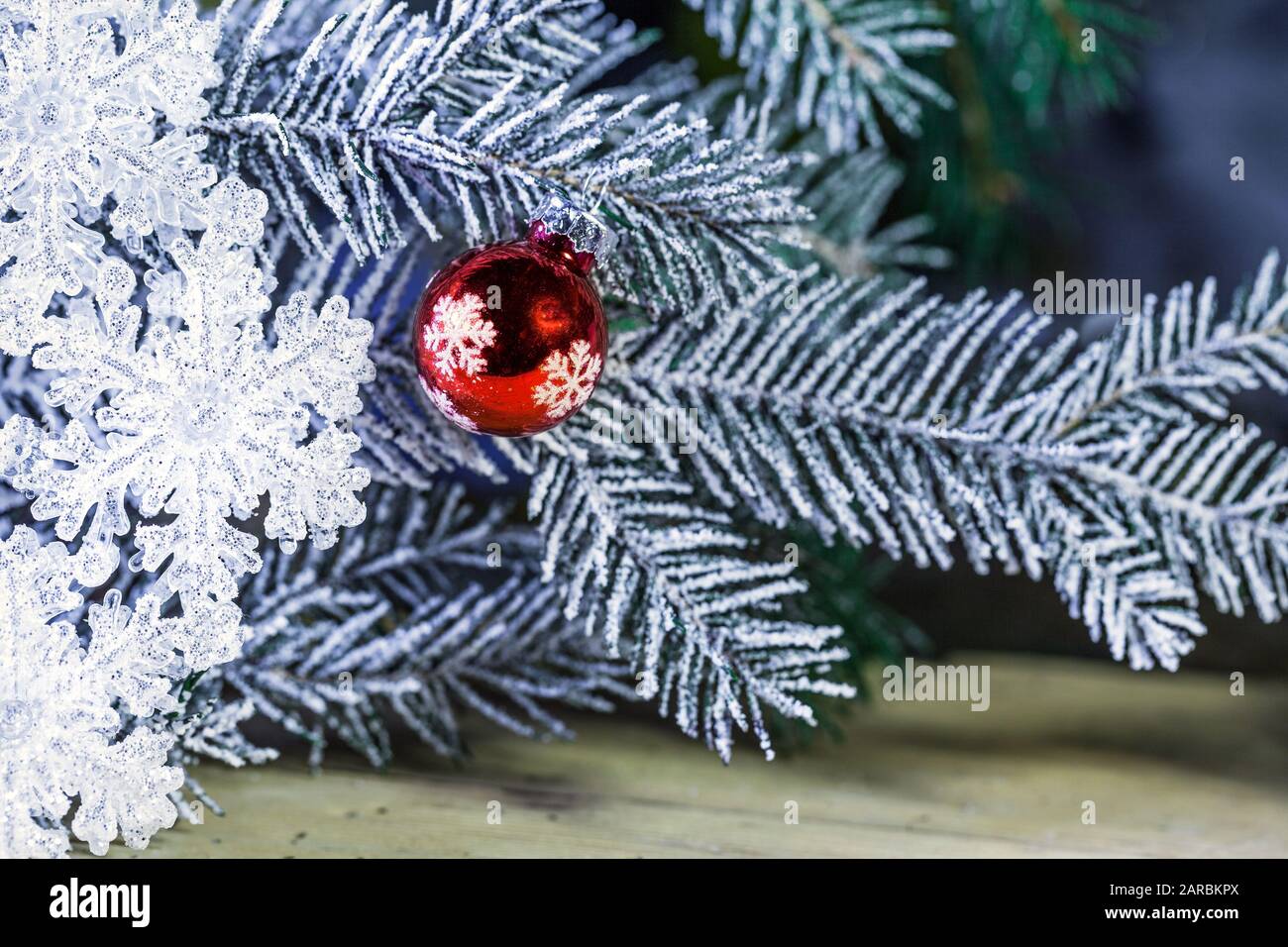 Sprig of fir hi-res stock photography and images - Alamy