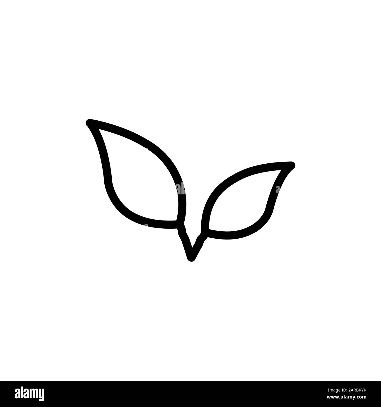 Leaf Outline Template